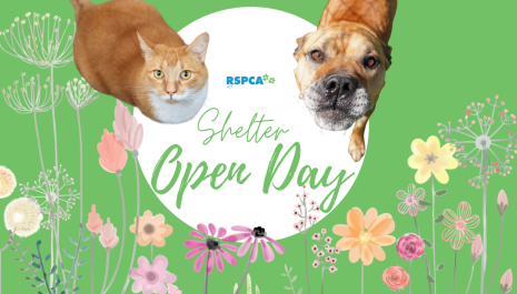 RSPCA ACT